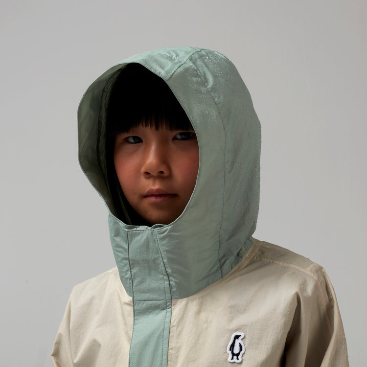 THE LION | silt green multi – GOSOAKY